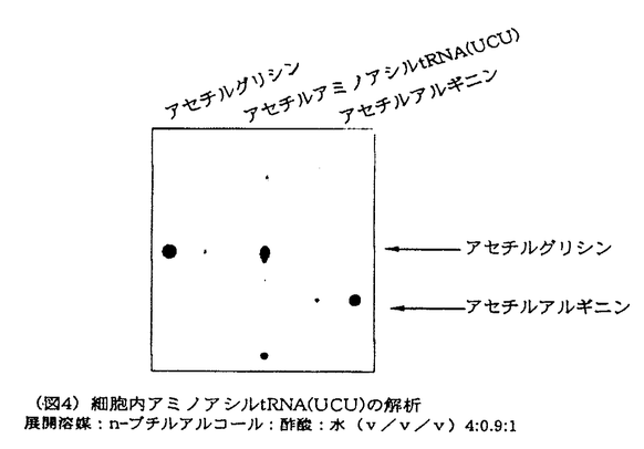 学位論文要旨詳細